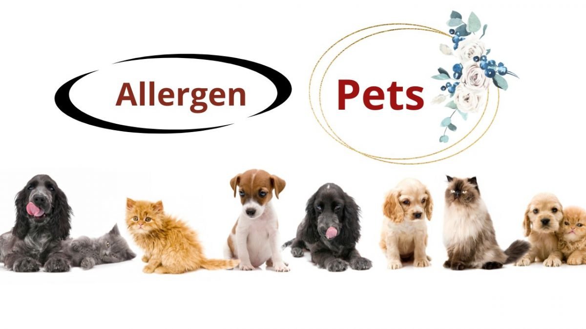 PET ALLERGIES: ALL YOU NEED TO KNOW - TECHiHealth